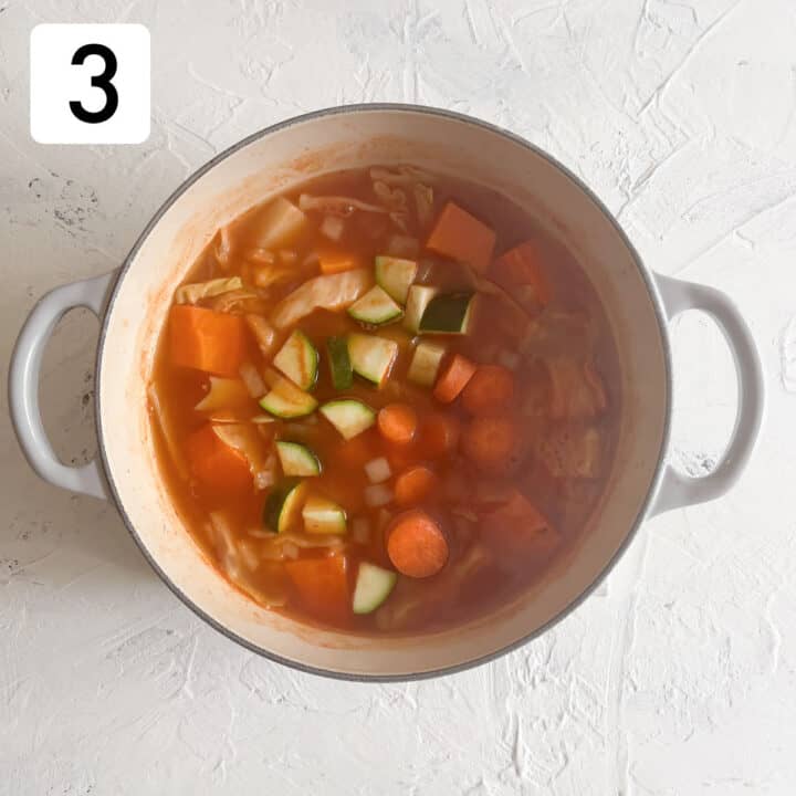 asy Vegetable Soup Recipe With V8 Juice (Small Batch)