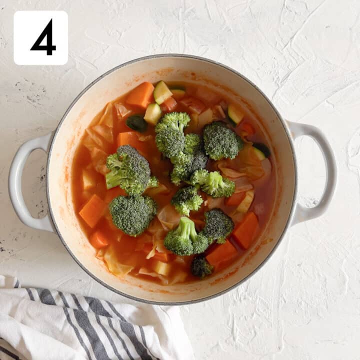 asy Vegetable Soup Recipe With V8 Juice (Small Batch)