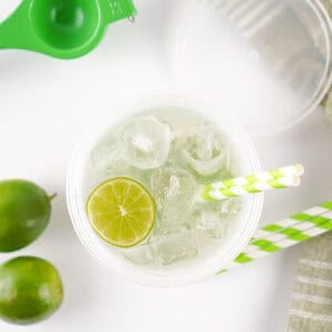 Small Batch Homemade Limeade Recipe • A Weekend Cook®